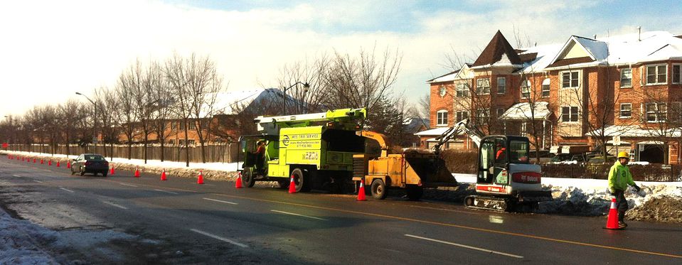 Utility Line Clearing, Simcoe & Muskoka, ON | Wes' Tree Service